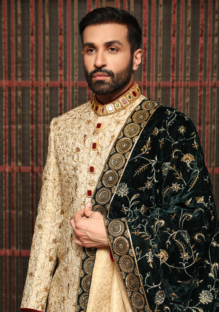 Premium Jamawar Golden Sherwani – Amir Adnan